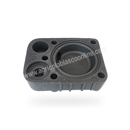 Culata Bomba Bertolini Metálica PA330.1 - PA430.1